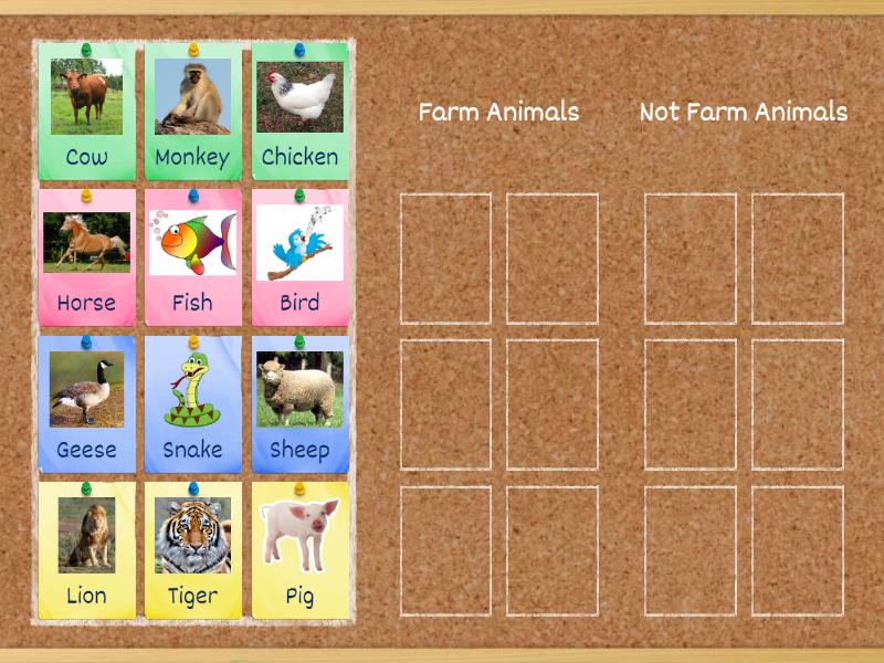 Farm Animals - Group sort