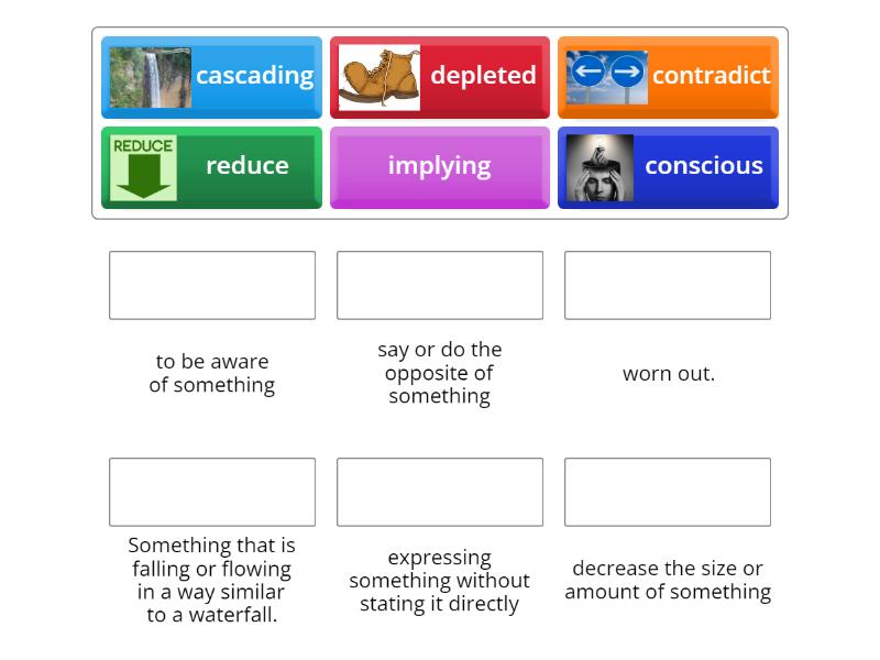 Living Green (Vocabulary) - Match up