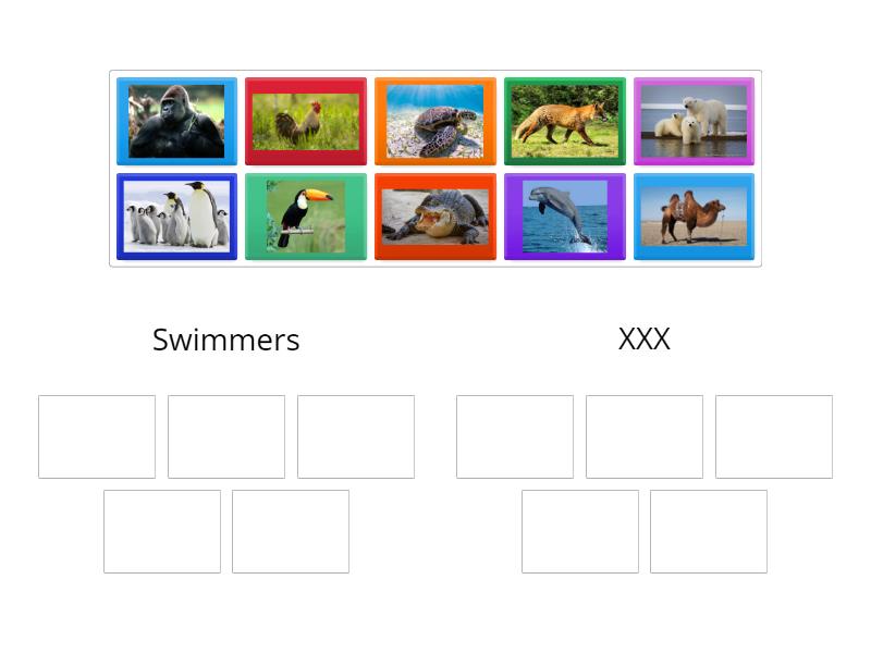 Animals that swim - Group sort