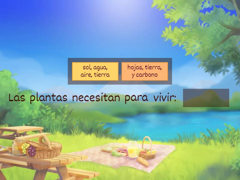 1) Completación: -Las funciones y necesidades de las plantas ...
