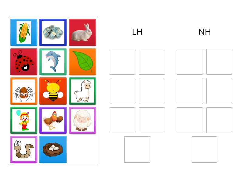 IDENTIFIQUE O SOM - LH ou NH - Group sort
