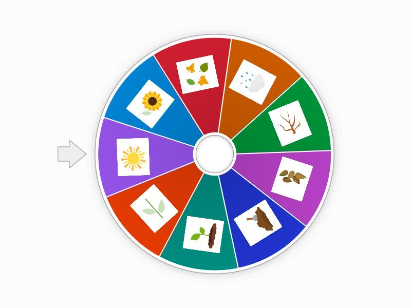 PLANT CYCLE WHEEL - Spin the wheel