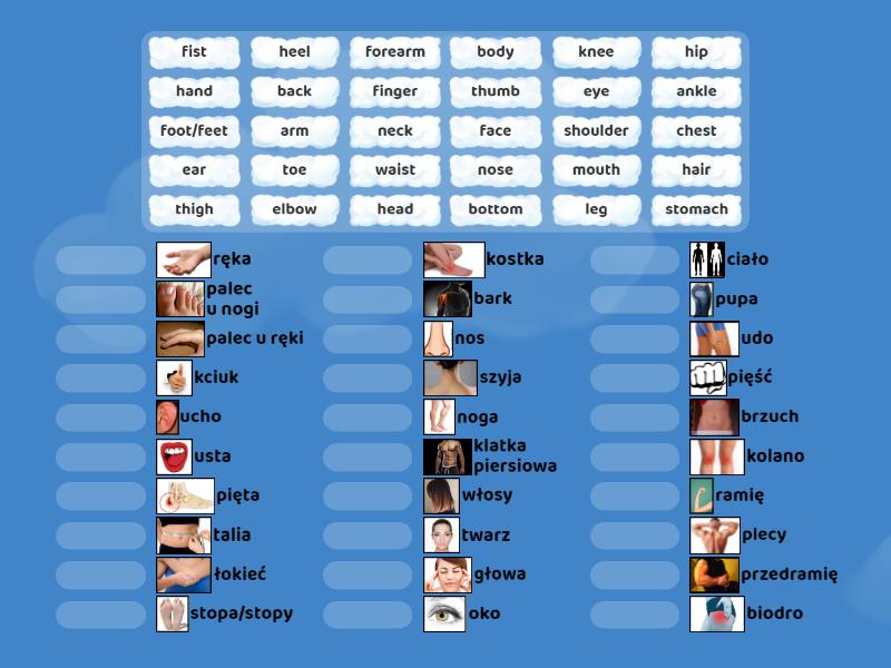 Parts of the body 2 - Match up