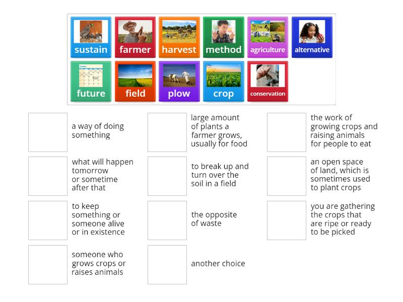 Lesson 161 - Review Key Words - ELA G4 - Match up
