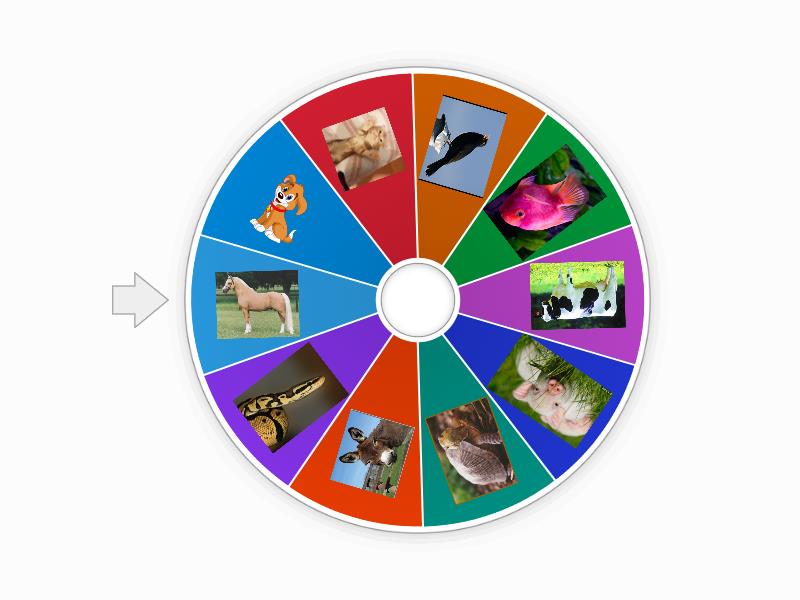 La rueda de los animales - Spin the wheel