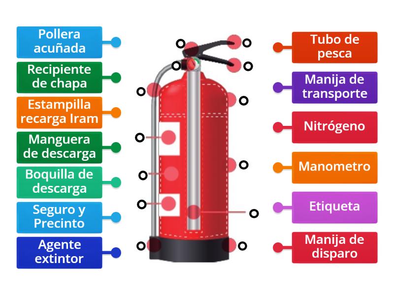 Partes de un Extintor manual - Diagrama con etiquetas