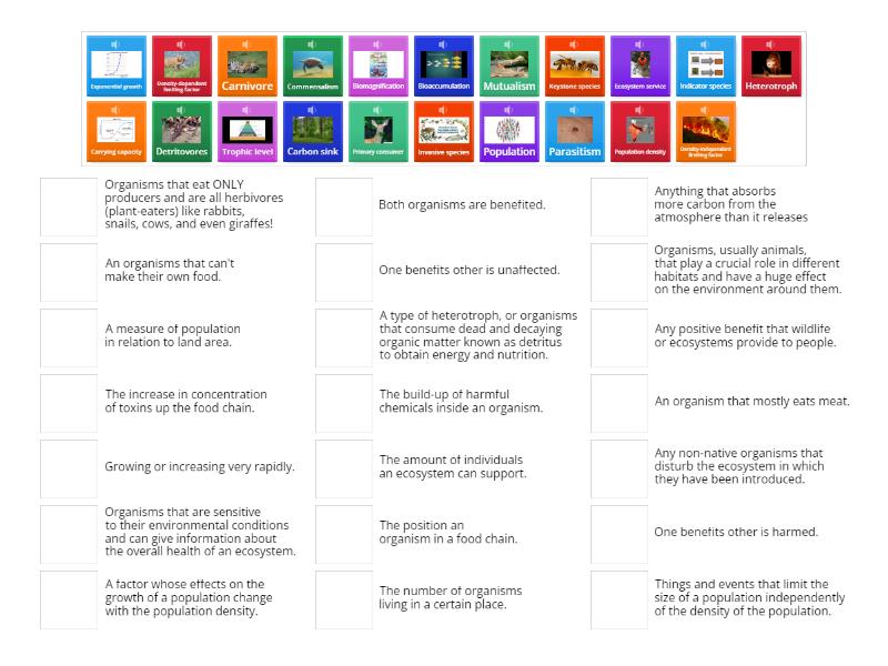 Ecology Vocabulary - Match up