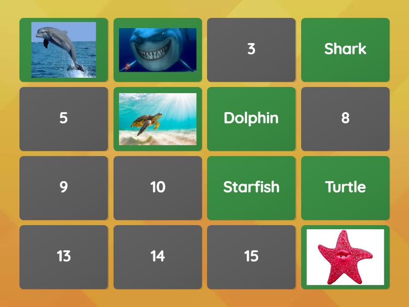 Sea animals match - Matching pairs
