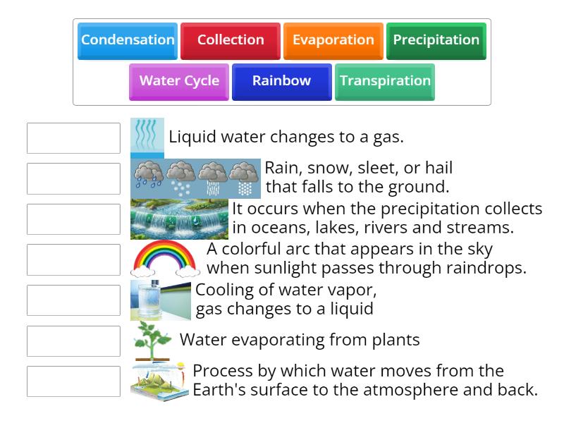 Water Cycle (5th Grade Science) - Match up
