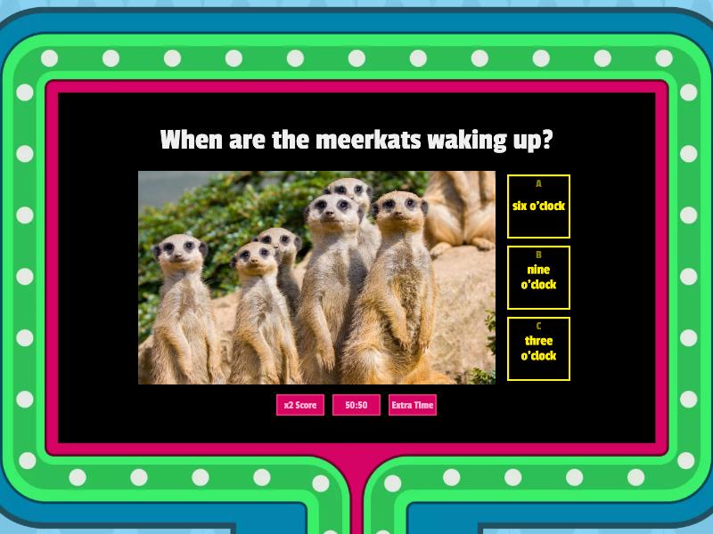 reading comprehension (meerkats) - Gameshow quiz