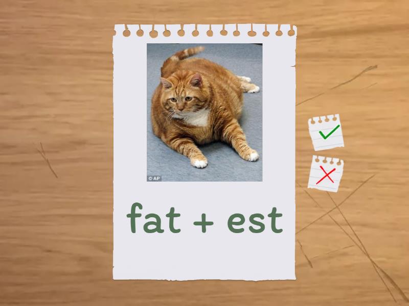 Doubling Rule -er, -est - UFLI 108 - Flash cards