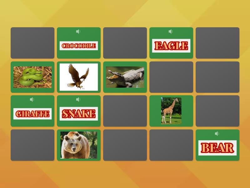 WILD ANIMALS - Matching pairs