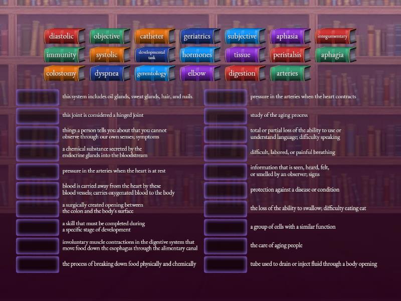 EXAM 3 Vocabulary Practice Activity - Une las parejas