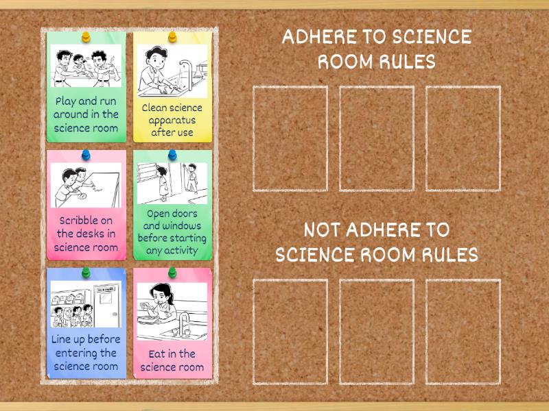 UNIT 2: Science Room Rules - Group sort
