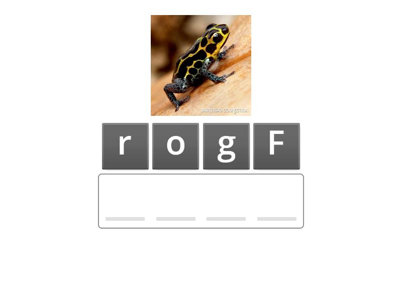 Spring Vocabulary - Anagram