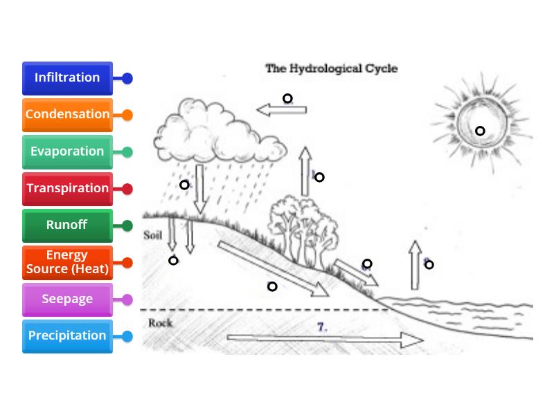 Water Cycle Labeling Practice - Labelled diagram
