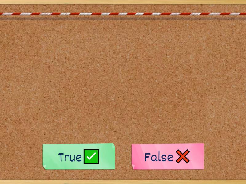 The Terrific Two - True or false