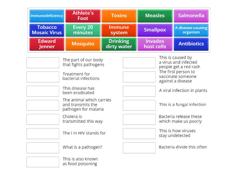 KS4 Pathogens - Infection and Response - Match up
