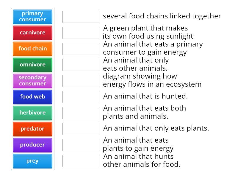 S3 Biology Food Chains - Match up