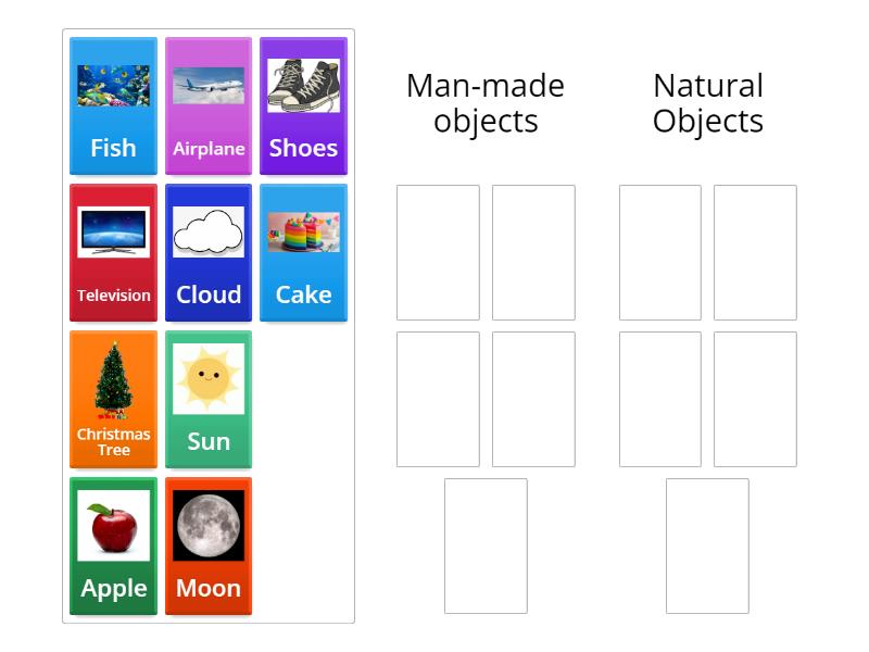SORTING MAN MADE & NATURAL OBJECTS - Group sort