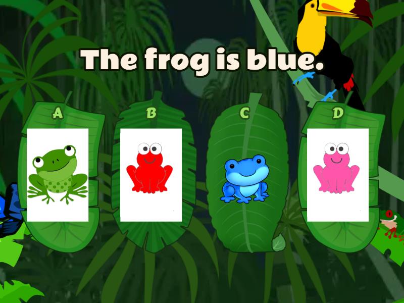 G4 - Frog colors - Quiz