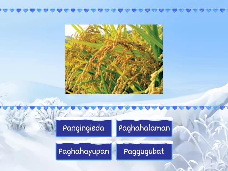 Sektor ng Agrikultura - Find the match