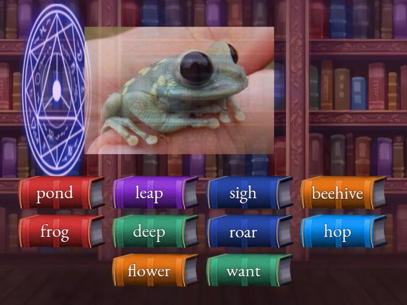 (單字遊戲2 藍思50L) Frog Meets Dog By Janee Trasler - Find the match