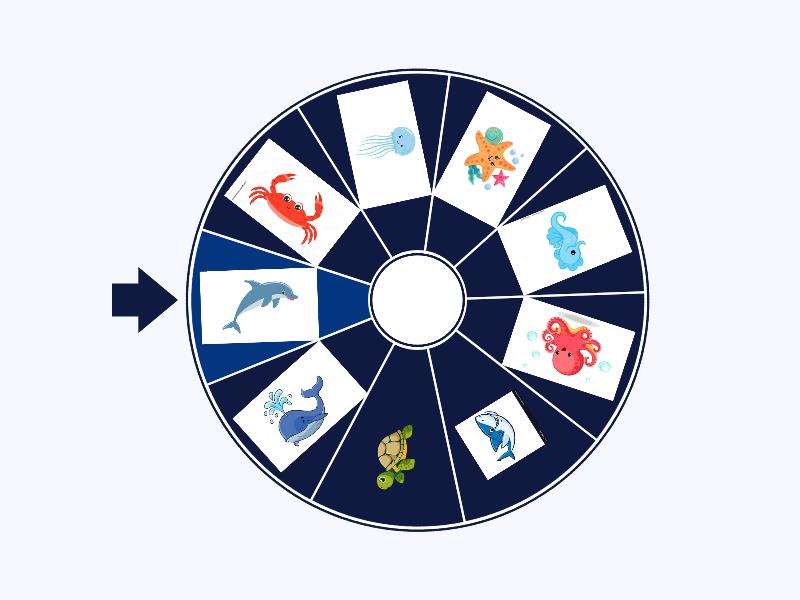 sea animals - Spin the wheel