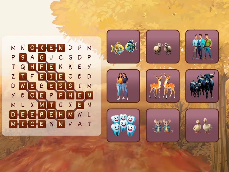 Irregular Plural Nouns - Wordsearch