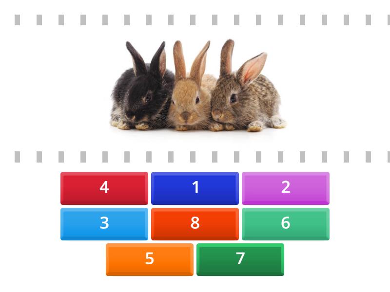 Cardinal Counting Game - Find the match