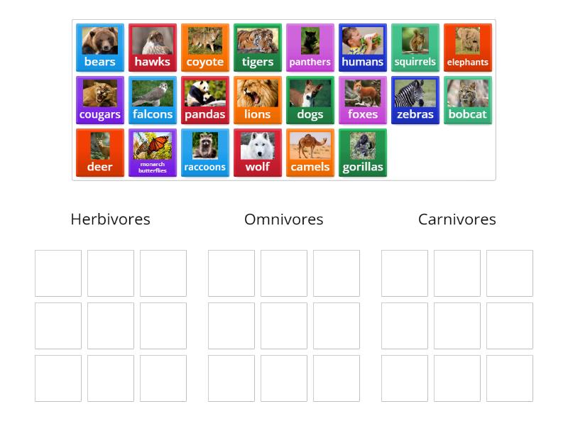 Herbivores, Omnivores, Carnivores - Group sort