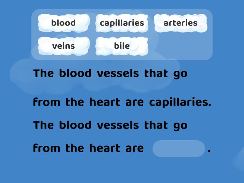 This circulatory system is a mess. - Complete the sentence
