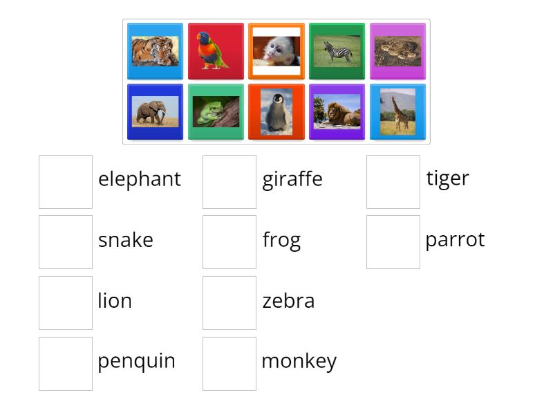 kids can starter - animals - Match up