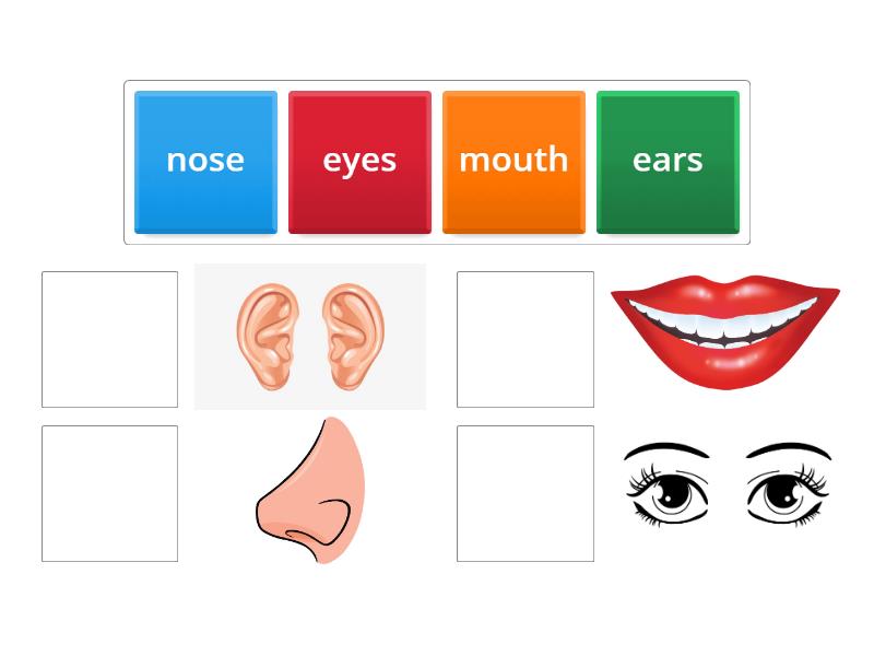 Spotlight 2 - body parts - Une las parejas