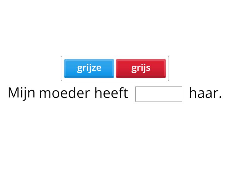 Adjectief met of zonder e : oefening 3, persoonbeschrijving - Complete ...