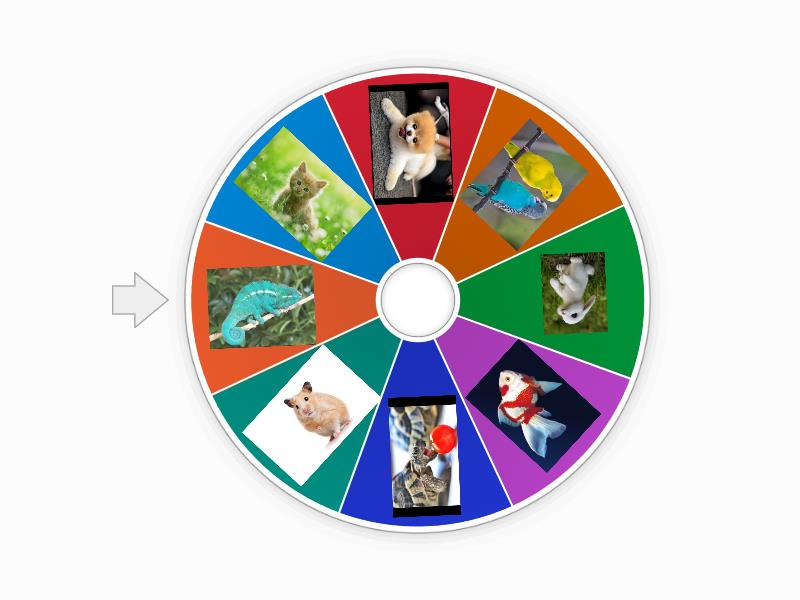 pets - Spin the wheel