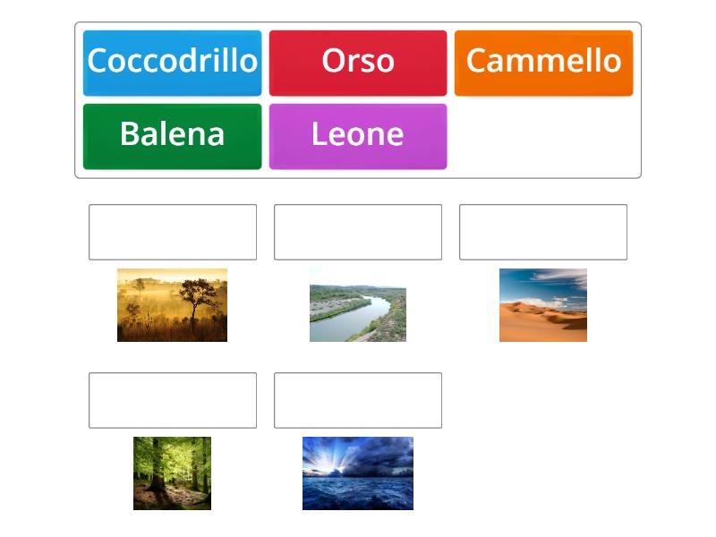 Gli animali e i loro ambienti - Match up