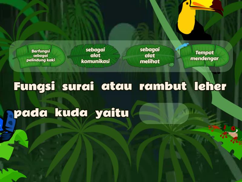 Game Bentuk & Fungsi Bagian Tubuh Hewan - Complete the sentence