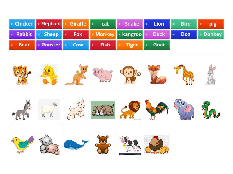 Name these animals - Match up