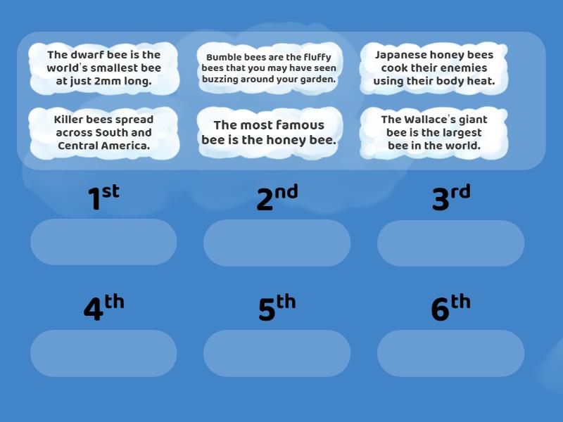 Different types of bees - Rank order