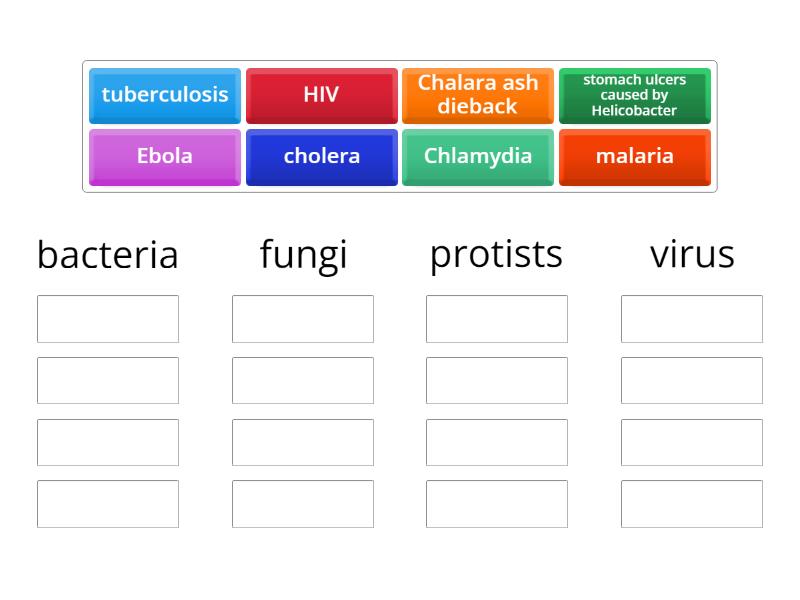 Which pathogen causes this disease? (Edexcel GCSE Bio) - Group sort