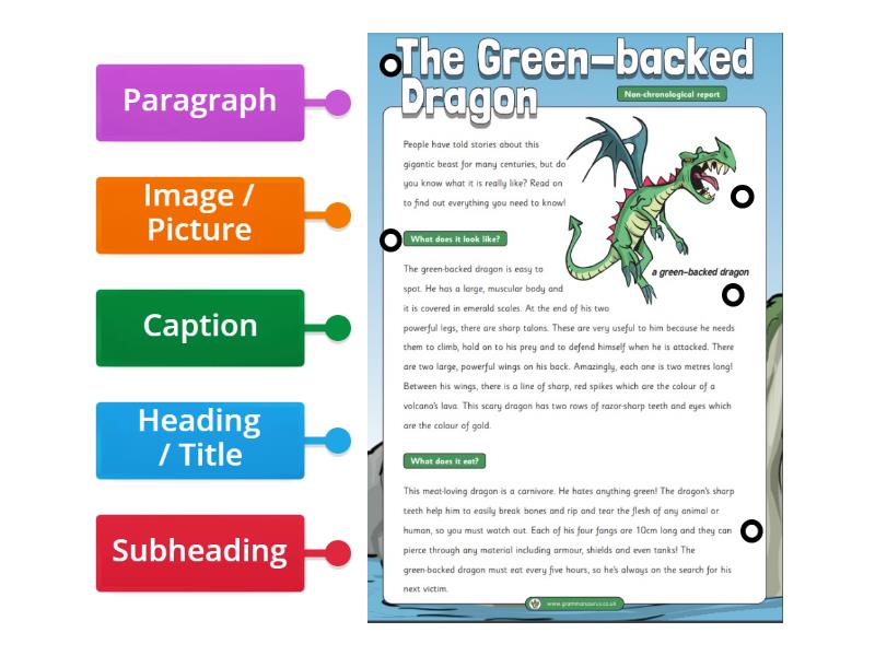 Non Chronological Report Layout Features Labelled Diagram