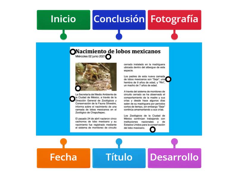 UBICA LAS PARTES DE UN TEXTO INFORMATIVO - Gambar rajah berlabel