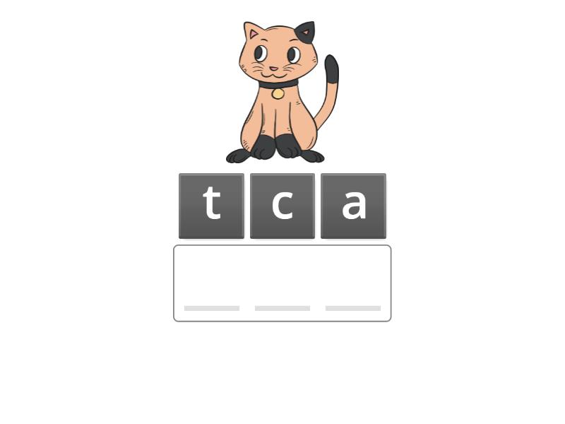 Reading module 1 Lesson 1 - Anagrama