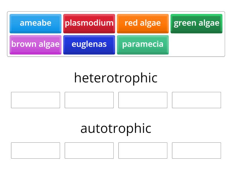 organisms characteristics - Group sort
