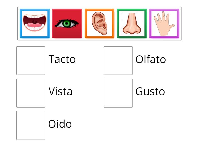 Los Cinco Sentidos - Match up