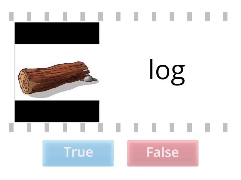 Review CVC -o - True or false