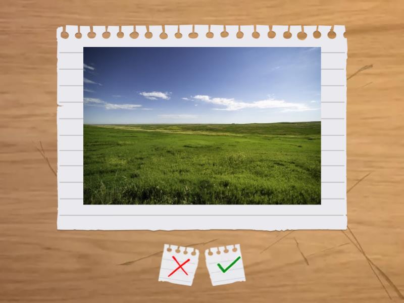 P1 SOC U4 LANDSCAPES FLASHCARDS - Flash cards