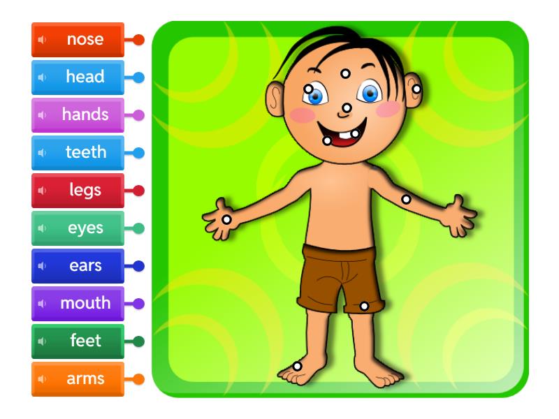 KB1 Body parts - Labelled diagram