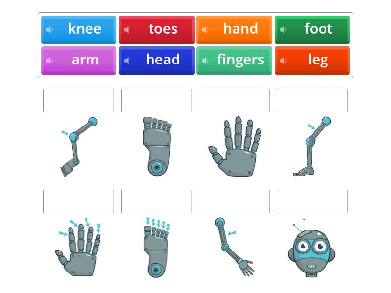 Quick Minds 1 Unit 8 The robot - Match up